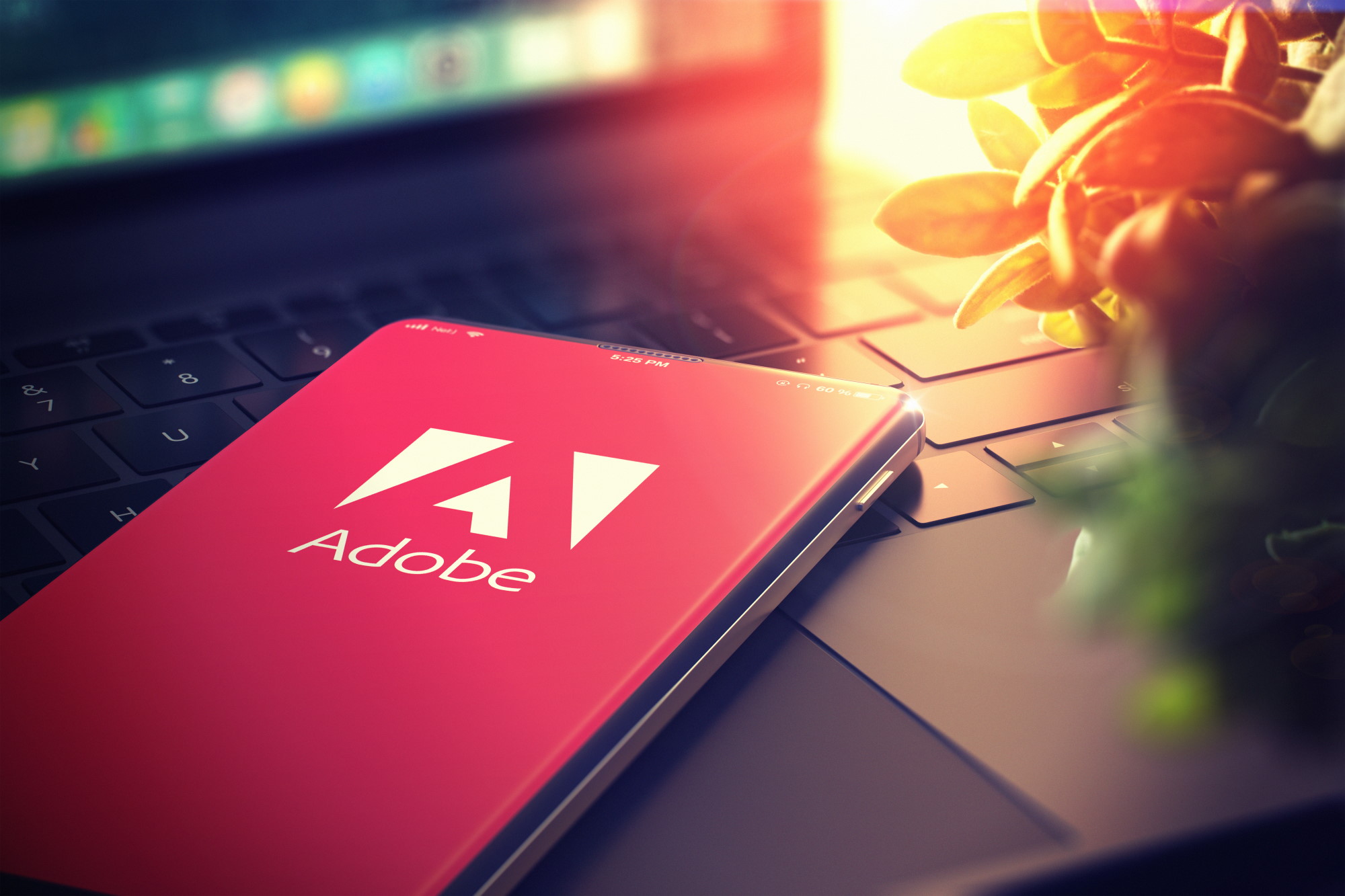 Adobe: Steigt der PDF-König auf 605 US-Dollar?